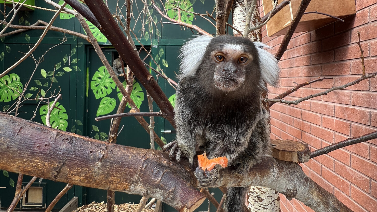 Animal Care Unit - Halesowen College